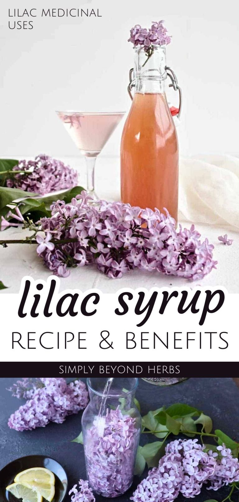 Delicious Lilac simple syrup recipe - SimplyBeyondHerbs