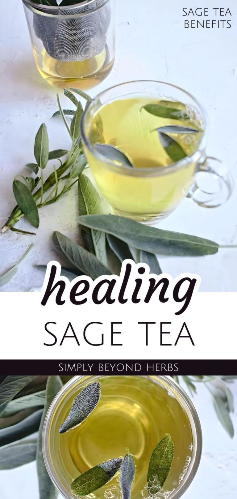 How to Make Sage Tea - SimplyBeyondHerbs