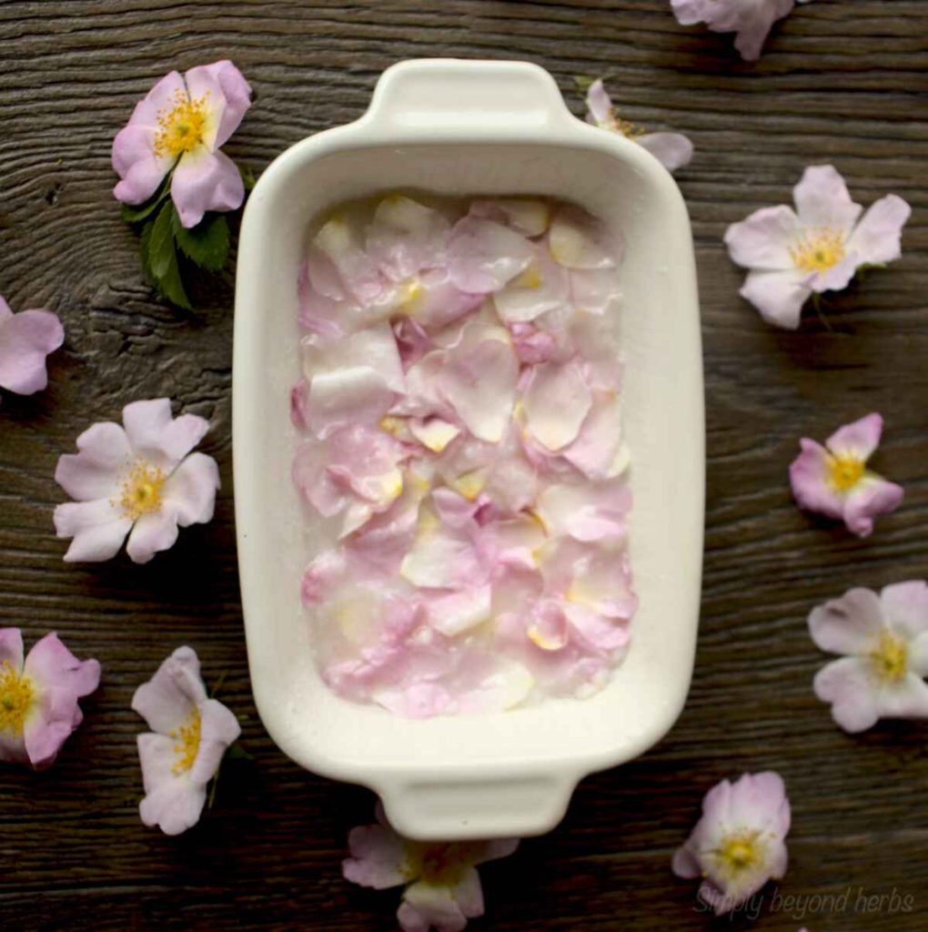 Enfleurage process - cold or hot method to capture the fragrance ...