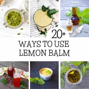 20+ ways to use Lemon Balm in Recipes and remedies - SimplyBeyondHerbs