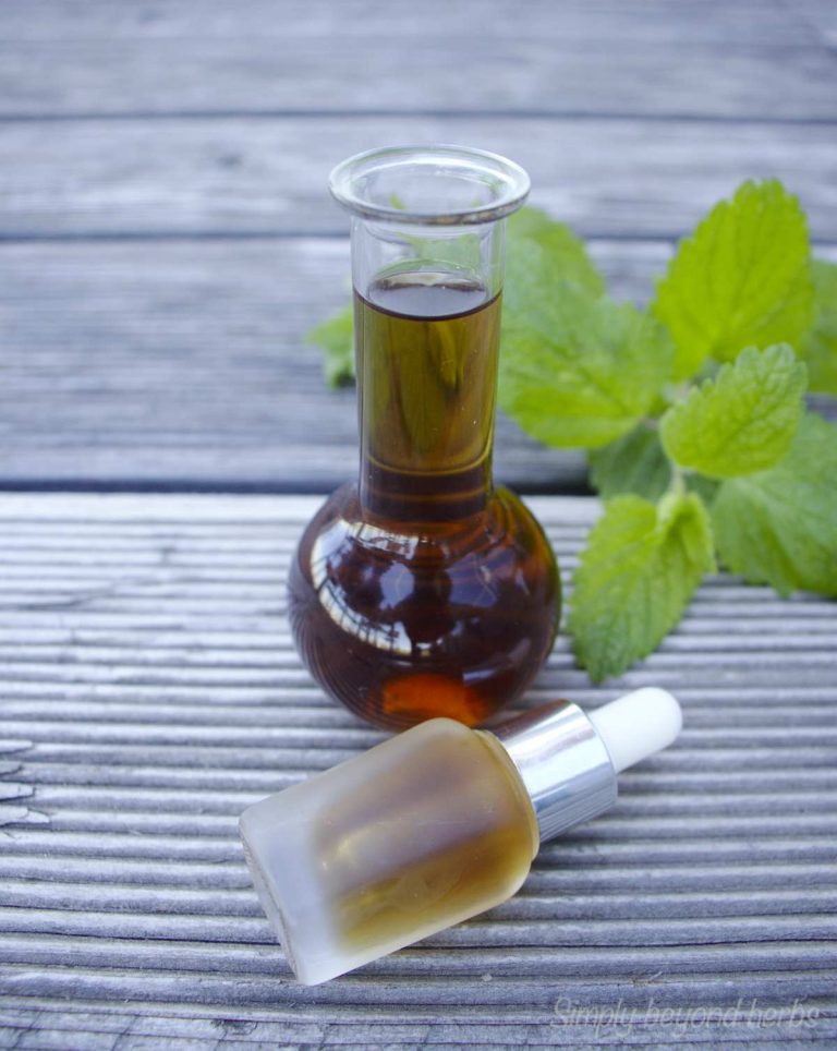 20+ ways to use Lemon Balm in Recipes and remedies - SimplyBeyondHerbs