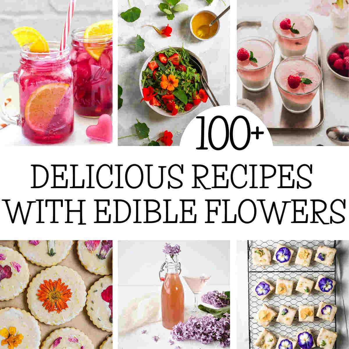 Flowers we Eat: 100+ Delicious Recipes Using Edible Flowers ...