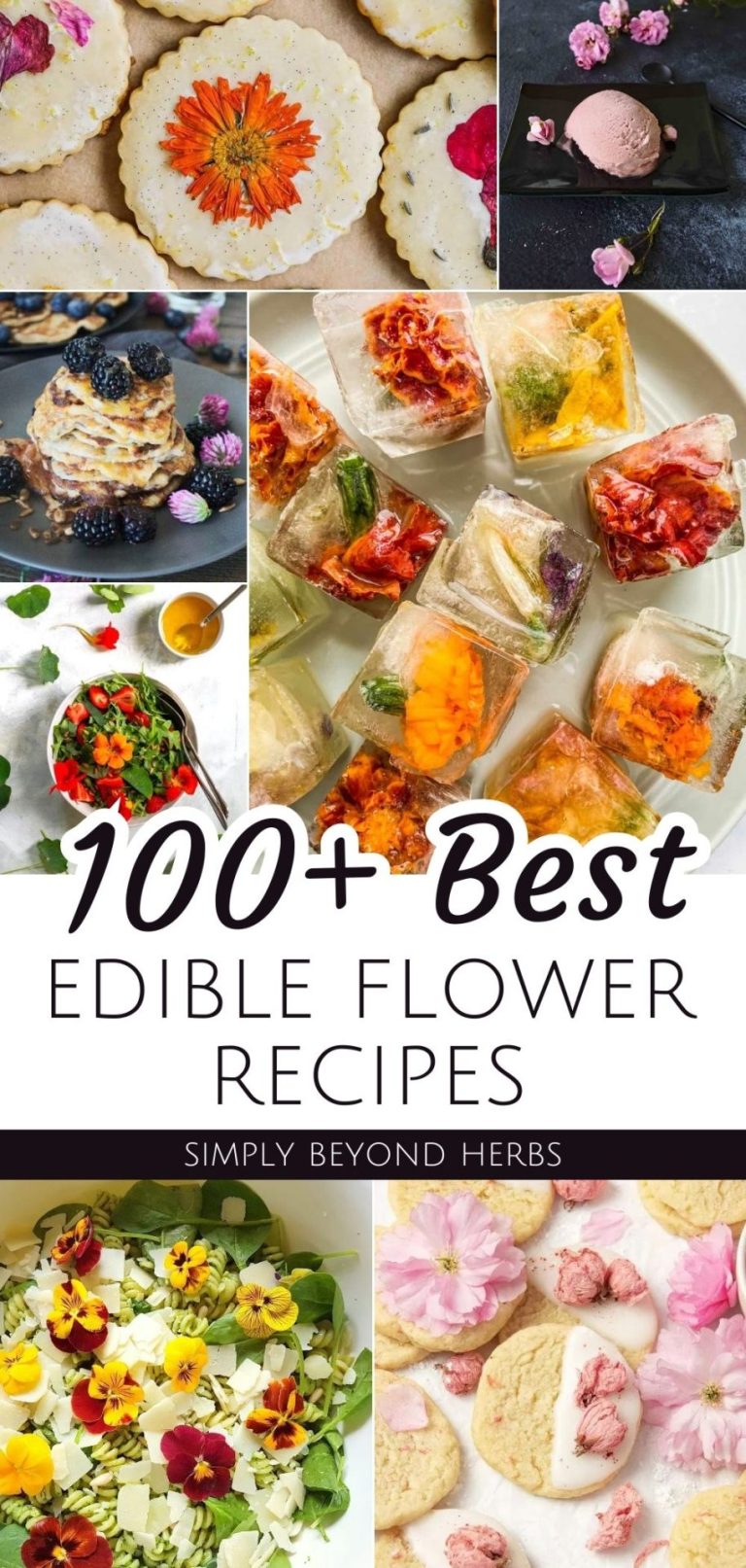 Flowers we Eat: 100+ Delicious Recipes Using Edible Flowers ...