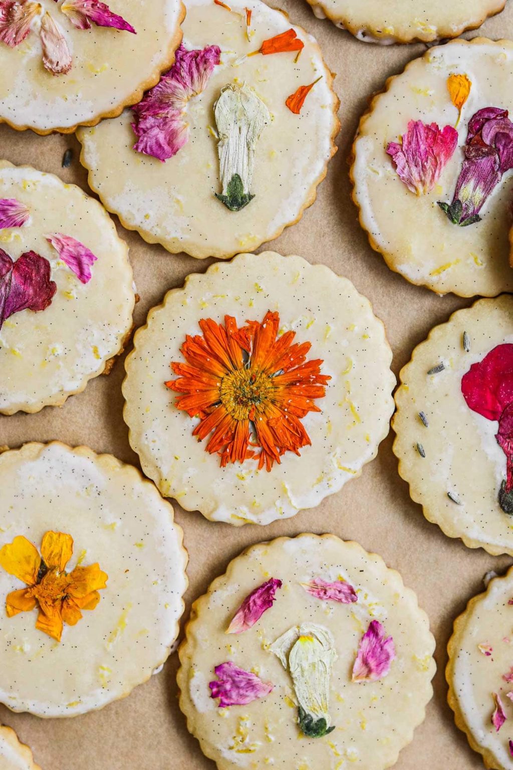 Flowers we Eat: 100+ Delicious Recipes Using Edible Flowers ...