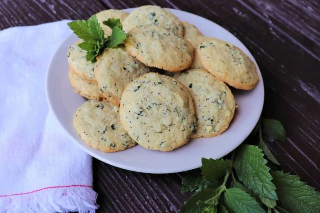 20+ ways to use Lemon Balm in Recipes and remedies - SimplyBeyondHerbs