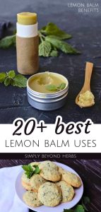 20+ ways to use Lemon Balm in Recipes and remedies - SimplyBeyondHerbs