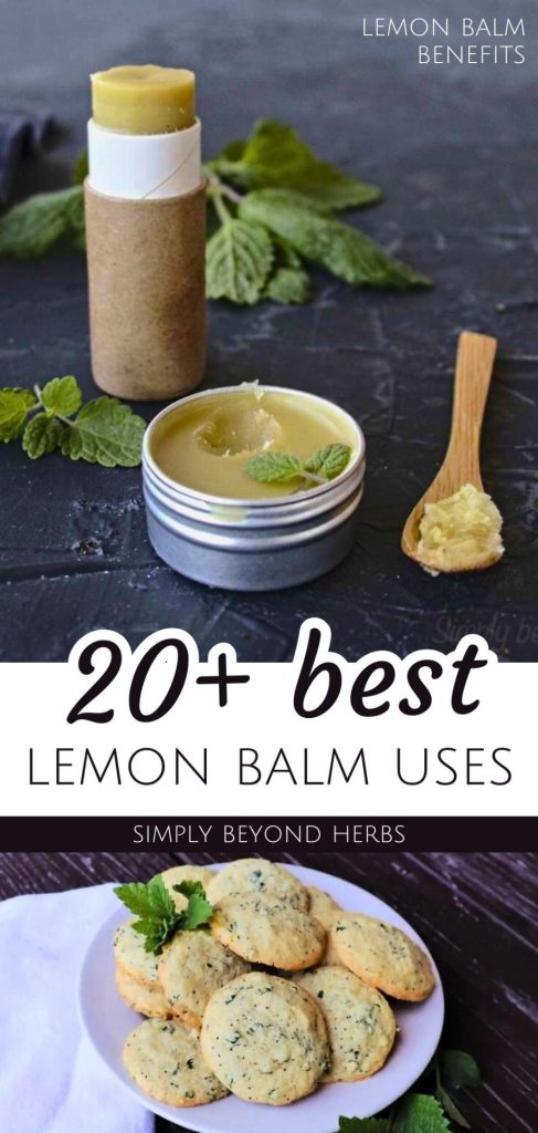 20+ ways to use Lemon Balm in Recipes and remedies - SimplyBeyondHerbs