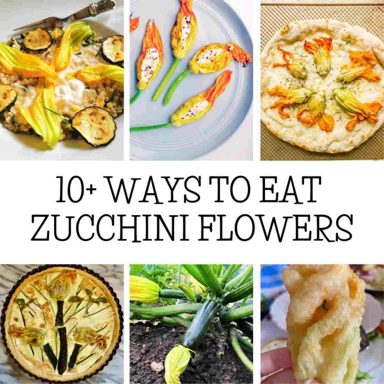 10+ Zucchini Flower Recipes: Fried or Stuff Zucchini blossoms ...