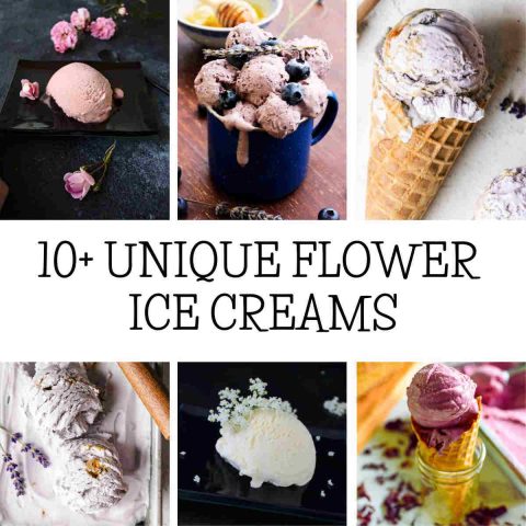 10+ Best Flower Ice Cream Recipes - SimplyBeyondHerbs