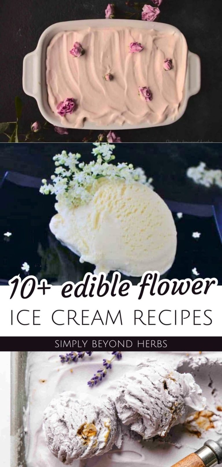 10+ Best Flower Ice Cream Recipes - SimplyBeyondHerbs