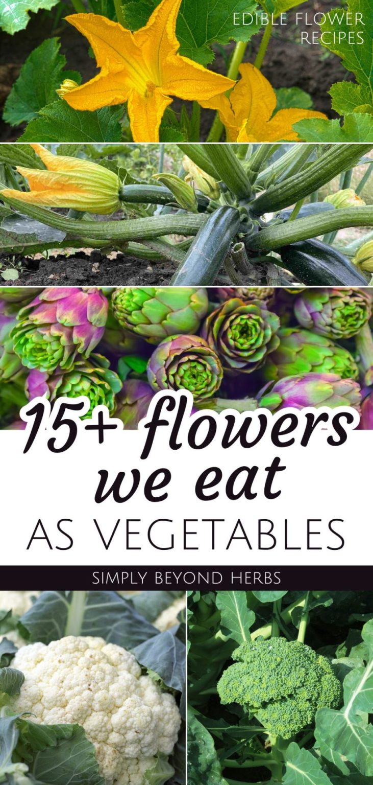 15+ Flowers We Eat as Vegetables with Recipes - SimplyBeyondHerbs