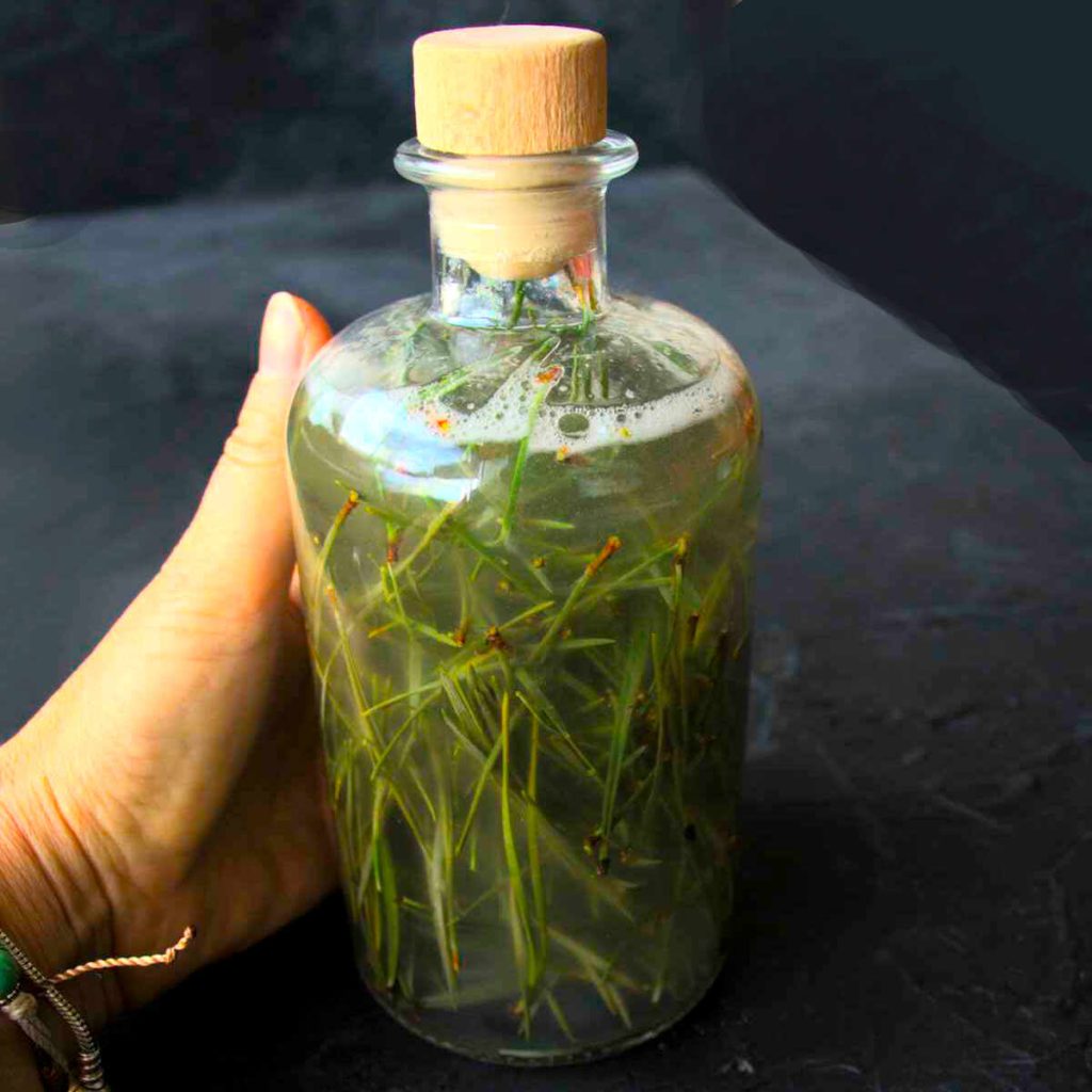 Pine Needle Soda - A Homemade Sprite - SimplyBeyondHerbs