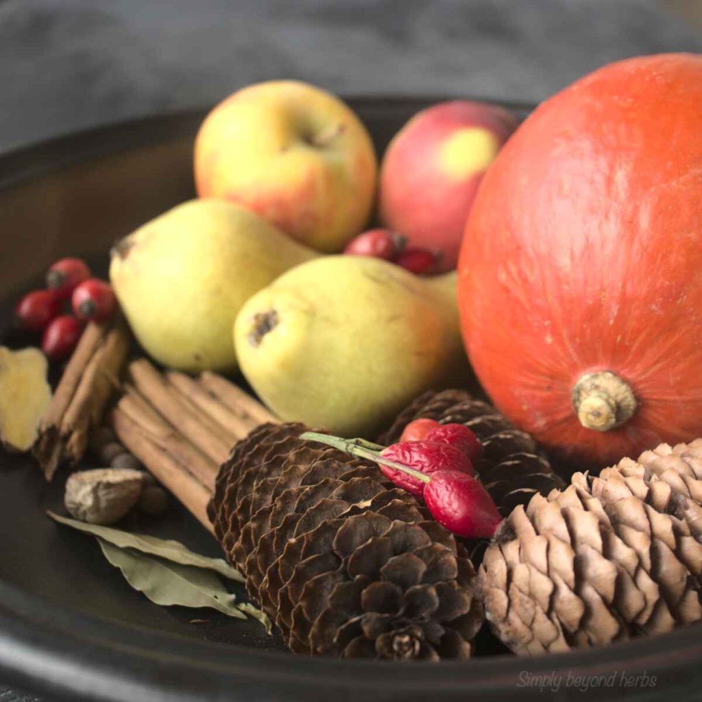 Cozy Fall Simmer Pot recipe to make your home smell like fall ...