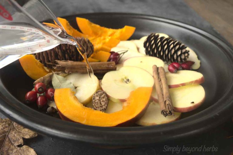 Cozy Fall Simmer Pot recipe to make your home smell like fall ...