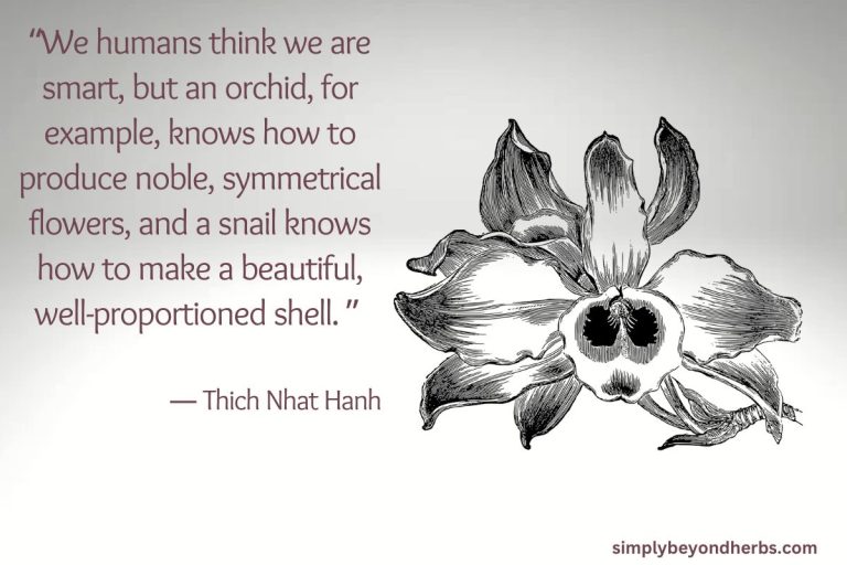 200+ Captivating Orchid Quotes to Inspire - SimplyBeyondHerbs