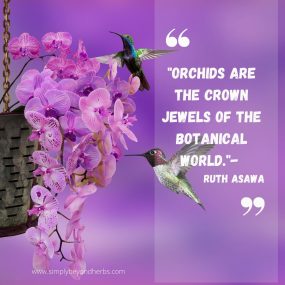200+ Captivating Orchid Quotes to Inspire - SimplyBeyondHerbs