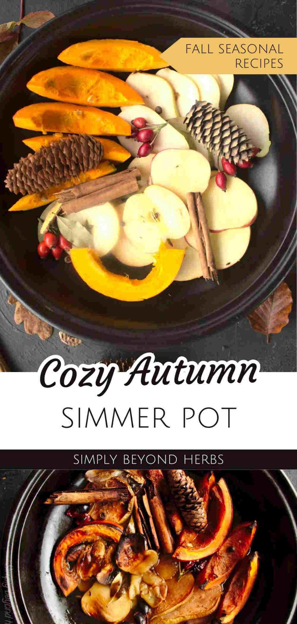 Cozy Fall Simmer Pot recipe to make your home smell like fall ...