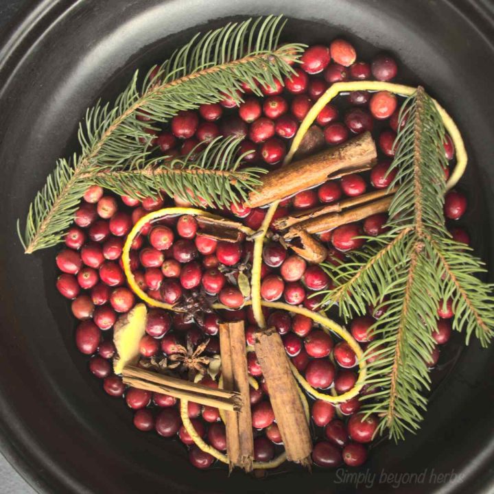 Christmas Simmer Pot Recipe: Potpourri for a Cozy Holiday ...