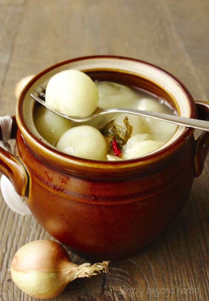 Fermented Onions: Lacto-fermented with probiotics - SimplyBeyondHerbs