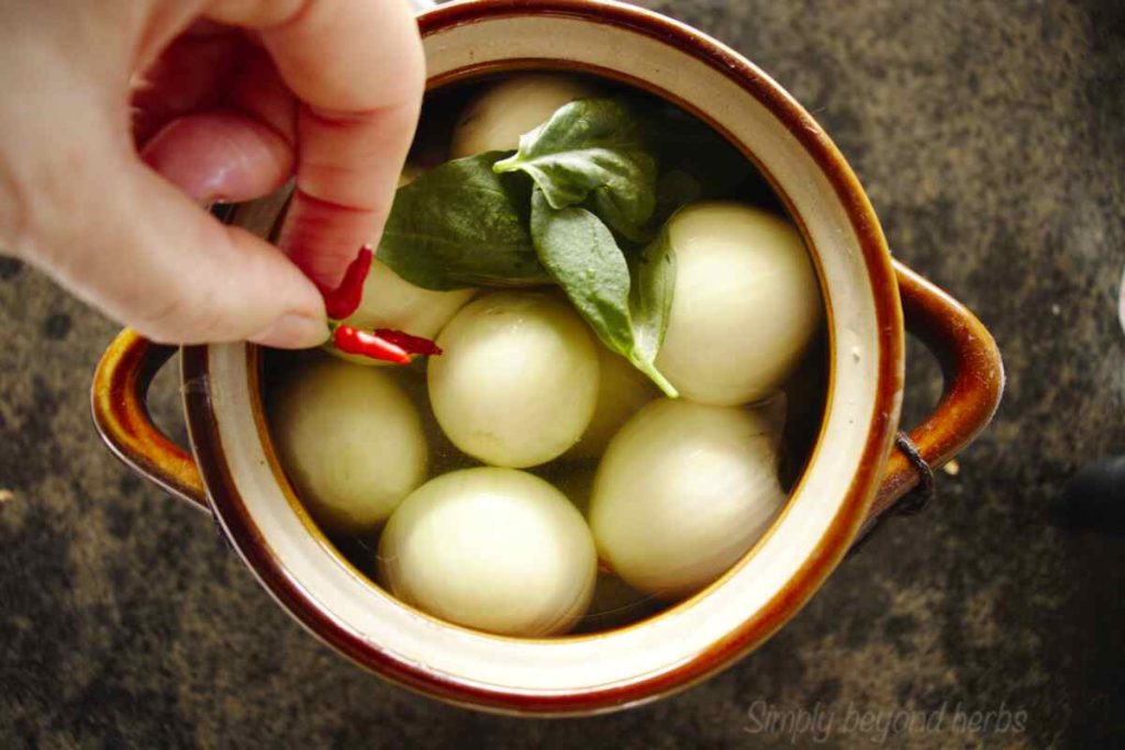 Fermented Onions: Lacto-fermented with probiotics - SimplyBeyondHerbs