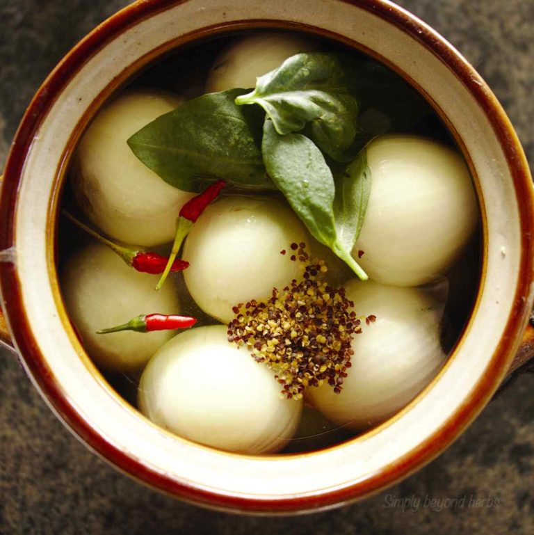 Fermented Onions: Lacto-fermented with probiotics - SimplyBeyondHerbs