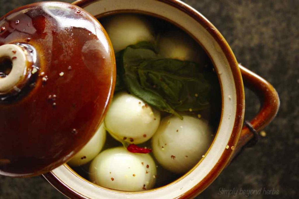 Fermented Onions: Lacto-fermented with probiotics - SimplyBeyondHerbs