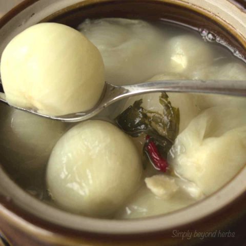 Fermented Onions: Lacto-fermented with probiotics - SimplyBeyondHerbs