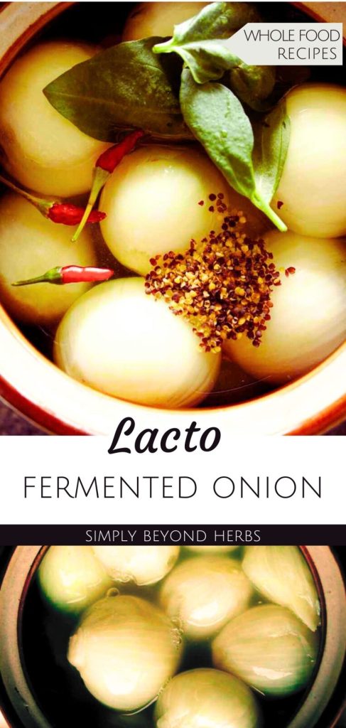 Fermented Onions: Lacto-fermented with probiotics - SimplyBeyondHerbs