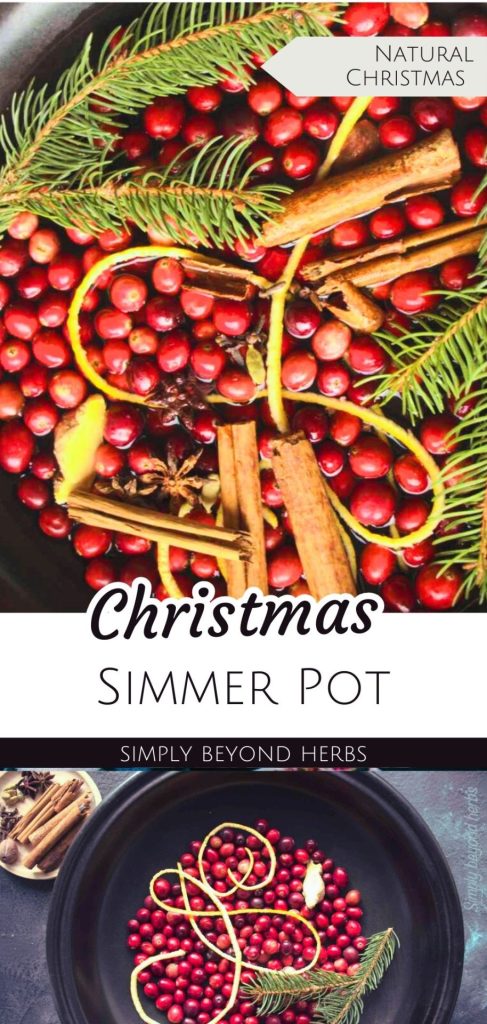 Christmas Simmer Pot Recipe: Potpourri for a Cozy Holiday ...