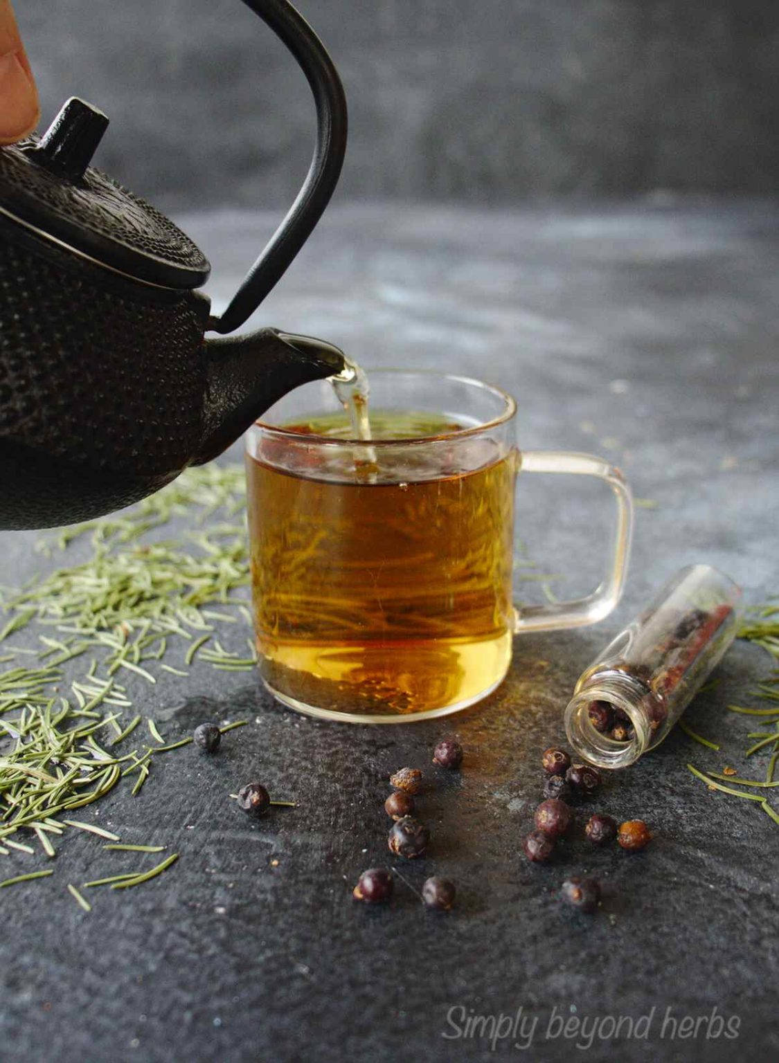 How to make juniper berry tea - SimplyBeyondHerbs