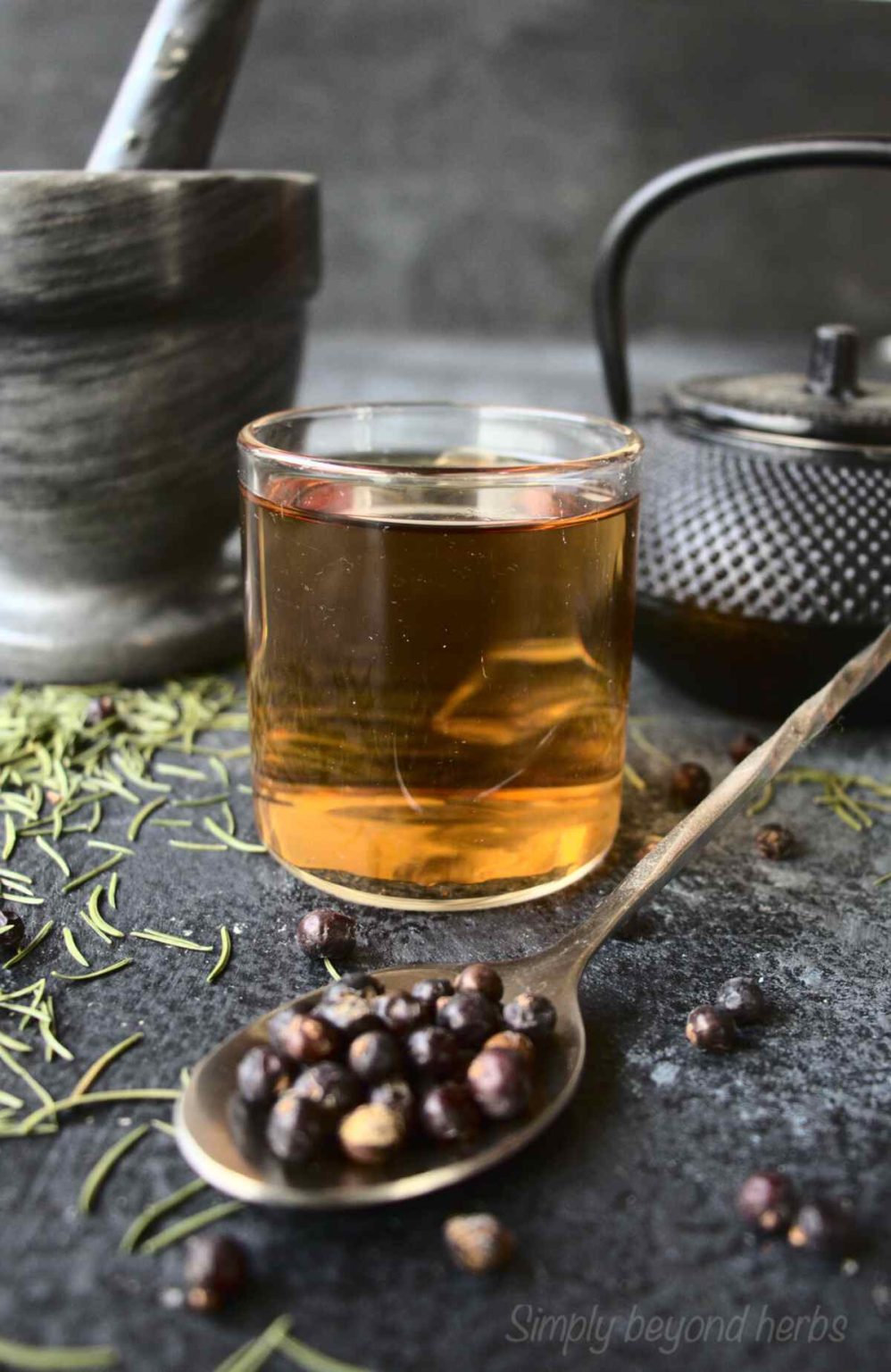 How to make juniper berry tea - SimplyBeyondHerbs