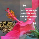250+ Best Hibiscus Flower Quotes and Captions for Instagram ...