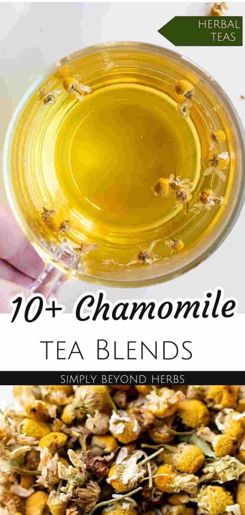 10+ Chamomile tea Recipes: Brew a perfect cup of chamomile tea ...