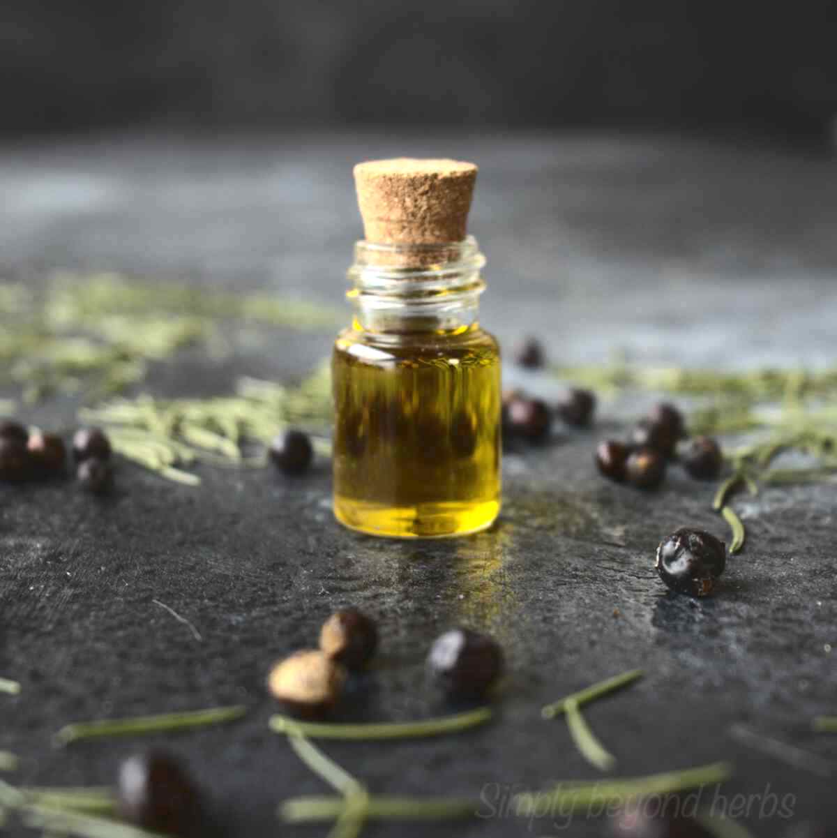 Green Chive Oil Recipe - SimplyBeyondHerbs