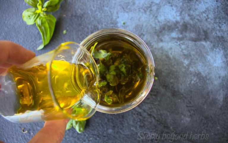 Basil Infused Olive Oil - 3 ways to make Basil oil at home ...