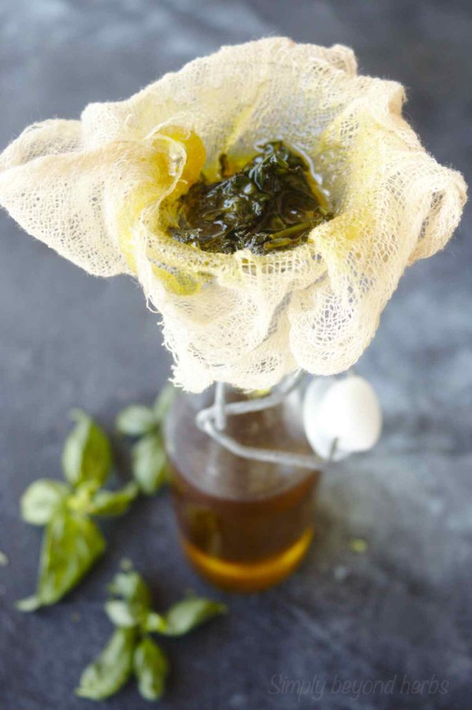 Basil Infused Olive Oil - 3 ways to make Basil oil at home ...