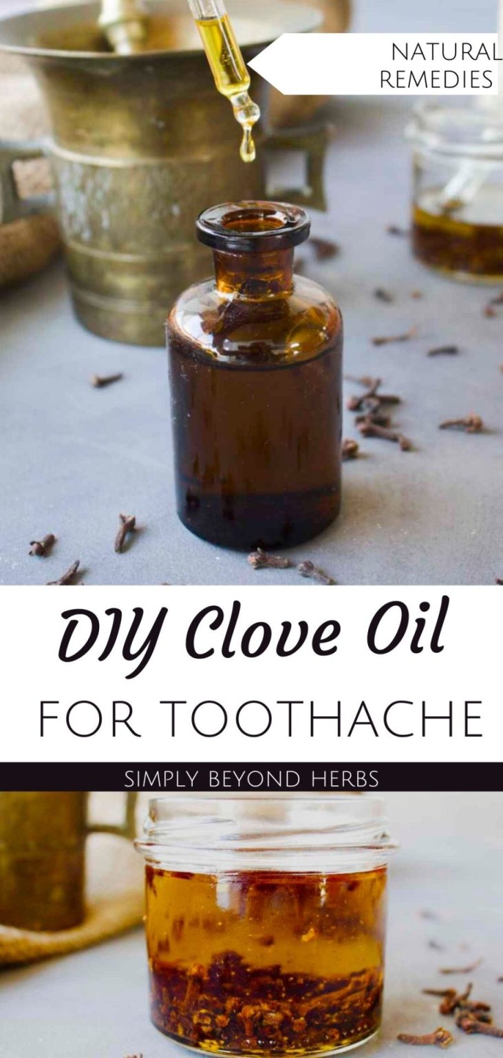 Easy Steps to Make Clove Oil at Home - SimplyBeyondHerbs