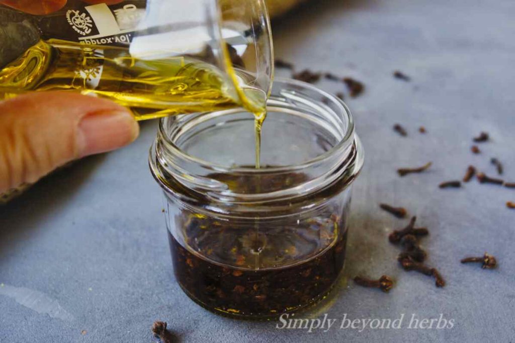 Easy Steps to Make Clove Oil at Home - SimplyBeyondHerbs
