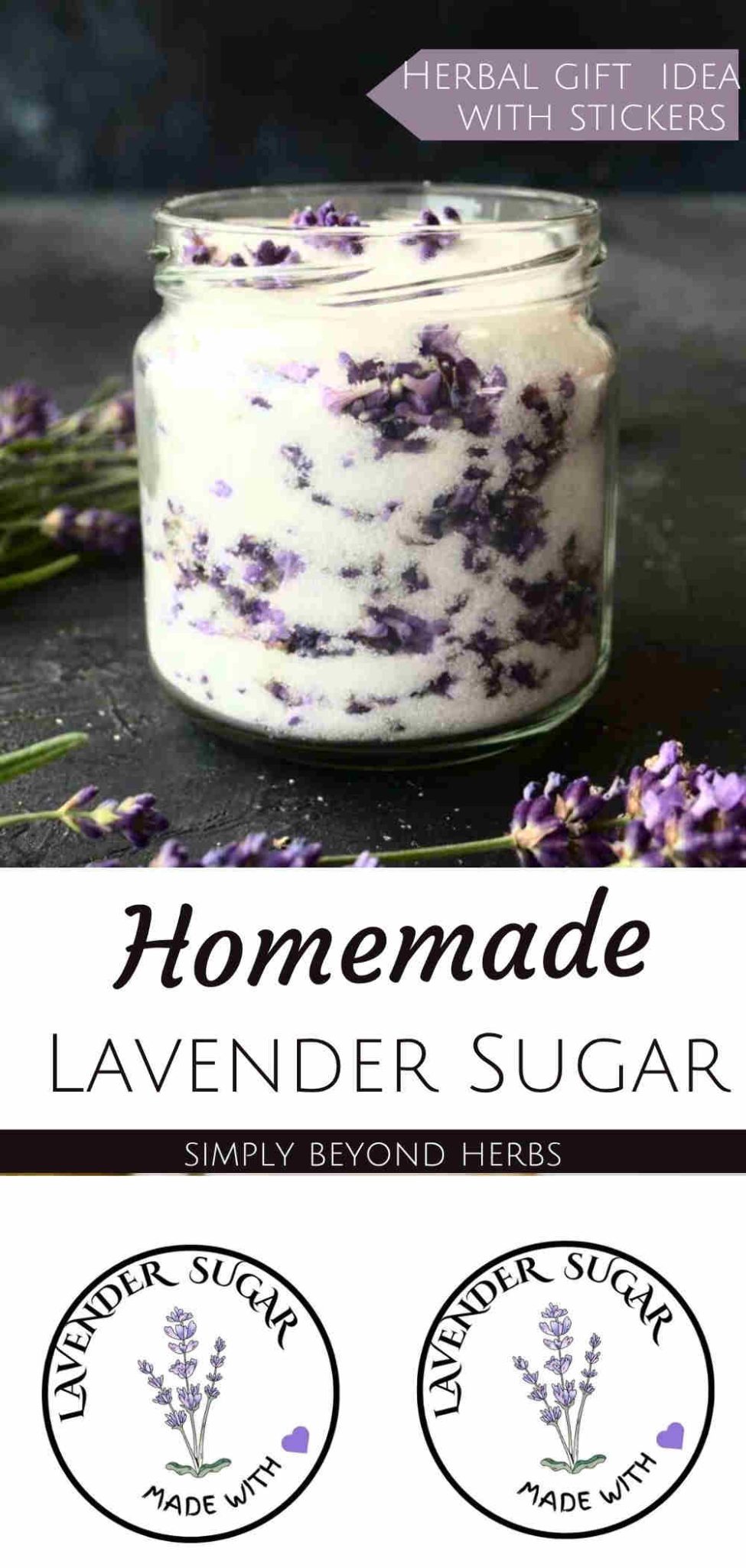 Lavender Sugar from Fresh or Dried Lavender - SimplyBeyondHerbs