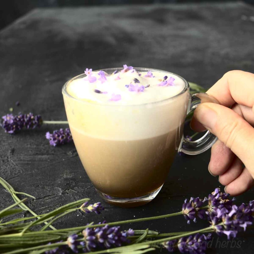 Lavender Latte: Hot or Iced Lavender Coffee - SimplyBeyondHerbs