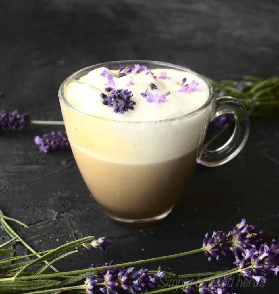 Lavender Latte: Hot or Iced Lavender Coffee - SimplyBeyondHerbs