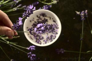 Lavender Sugar from Fresh or Dried Lavender - SimplyBeyondHerbs