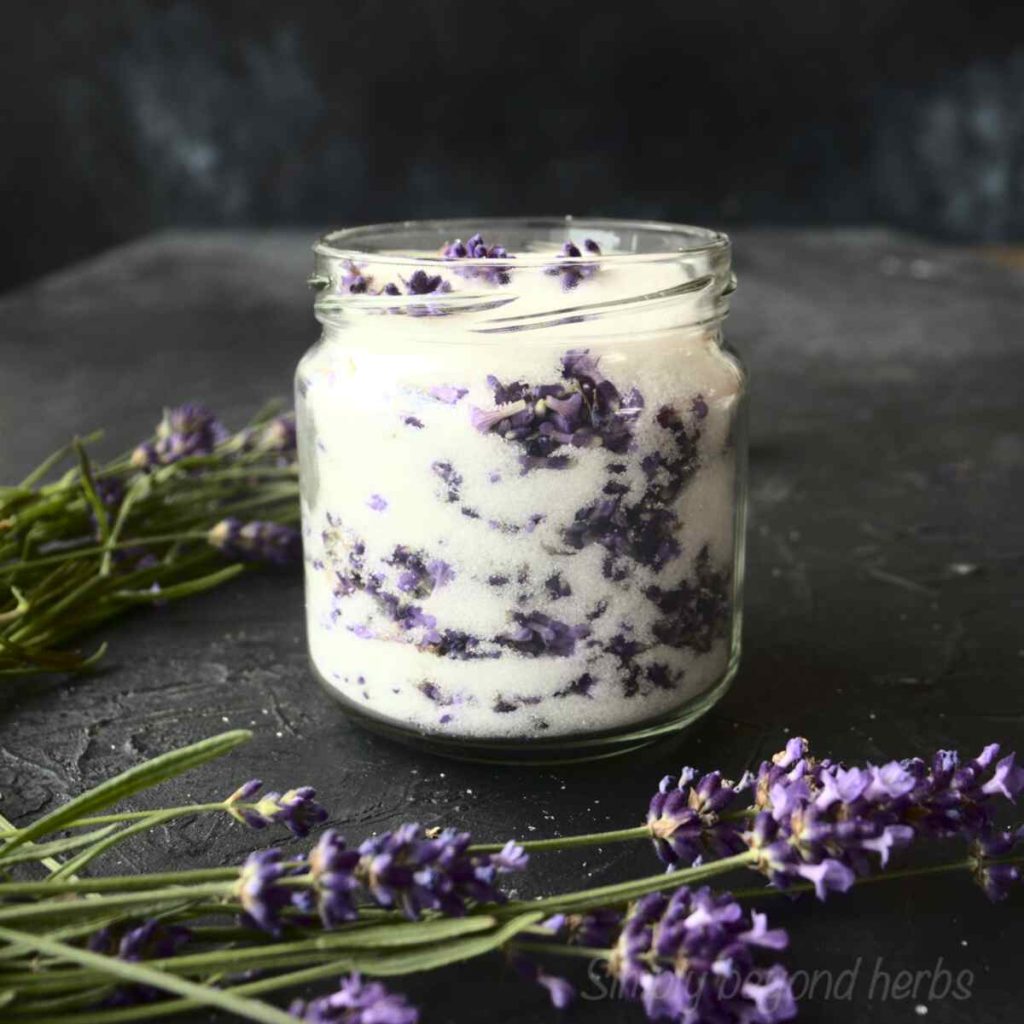 Lavender Sugar from Fresh or Dried Lavender - SimplyBeyondHerbs