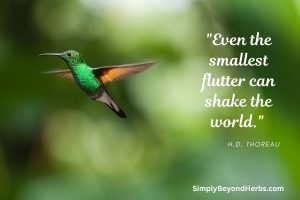 250+ Hummingbird Quotes that bring joy - SimplyBeyondHerbs