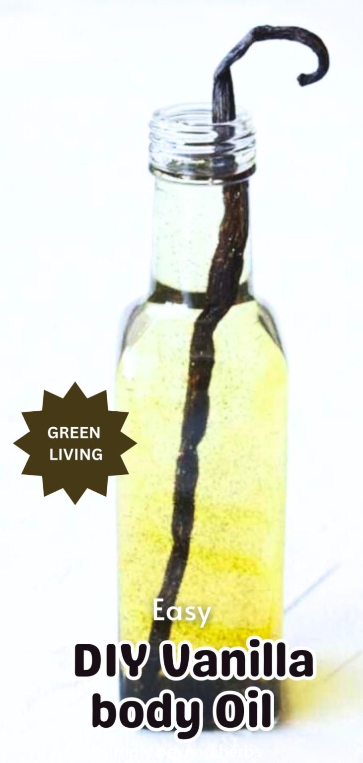 How to Make Vanilla Infused Oil + 3 Ways to Use It - SimplyBeyondHerbs