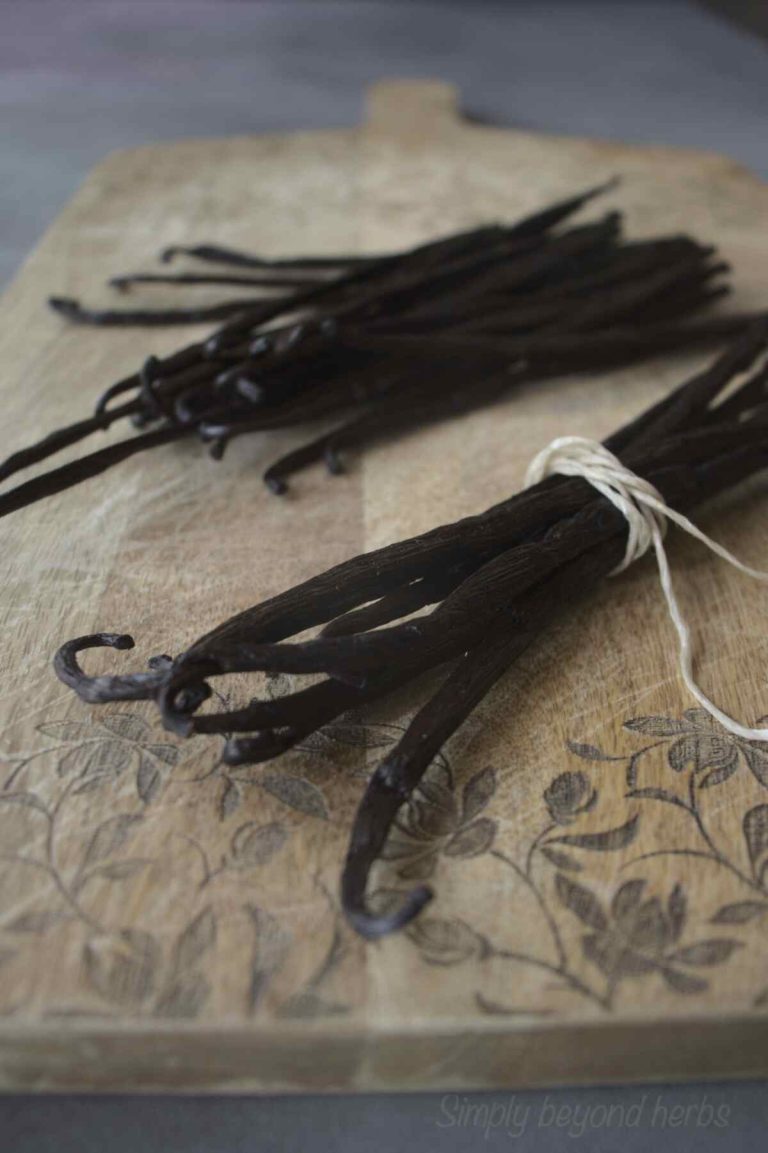 How to Make Homemade Vanilla Bean Sugar (Easy 2-Ingredients ...