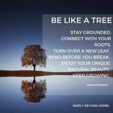 200+ Plant a Tree Quotes and Sayings - SimplyBeyondHerbs