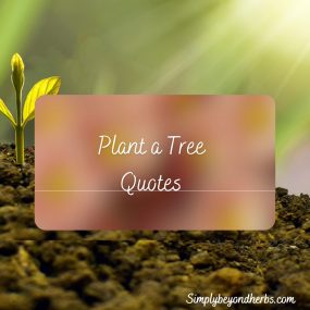 200+ Plant a Tree Quotes and Sayings - SimplyBeyondHerbs