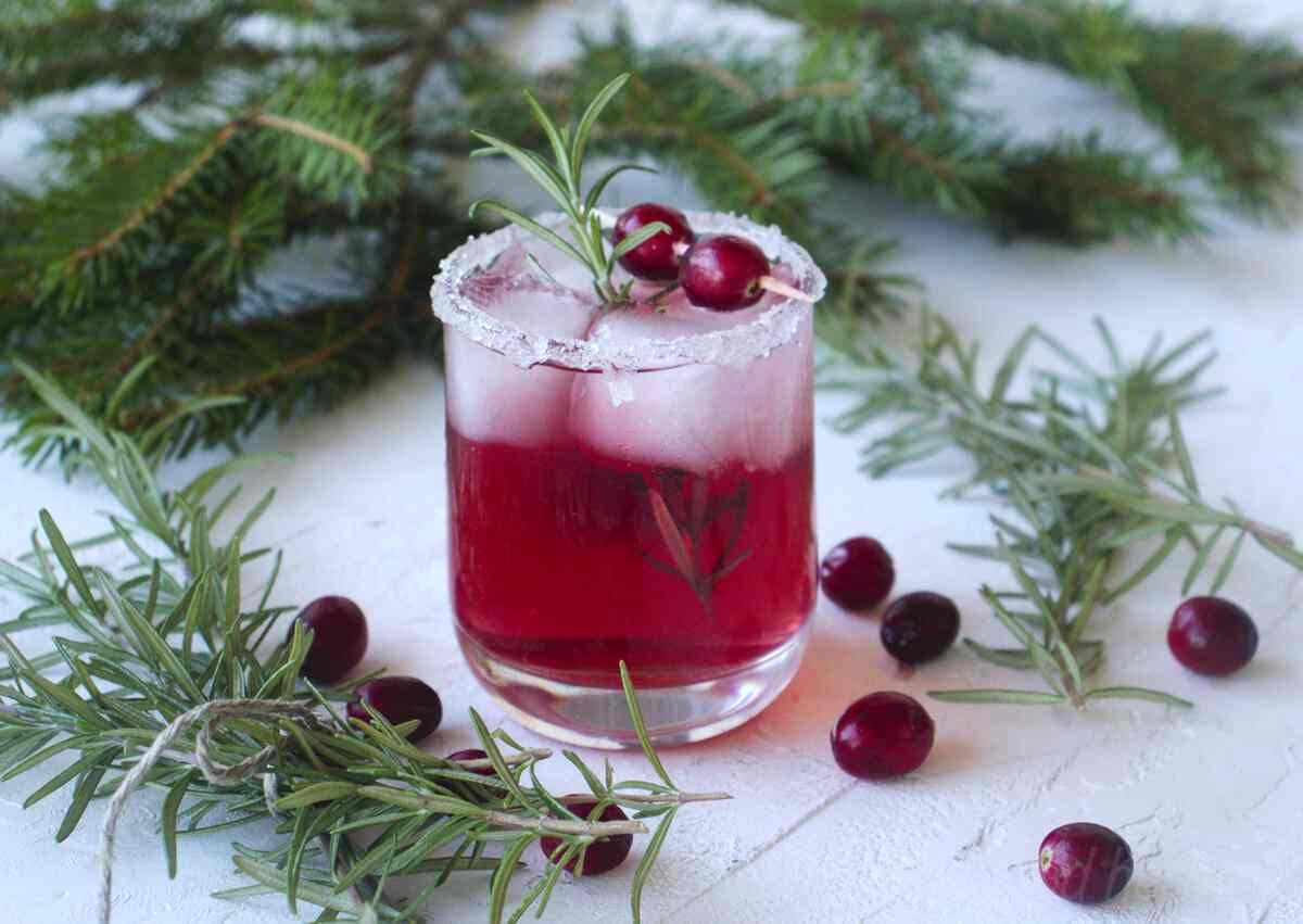 Festive Cranberry Rosemary Cocktail - SimplyBeyondHerbs